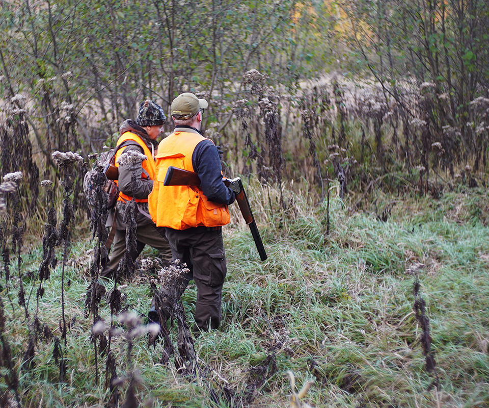 FEDECP - Les différentes chasse avec chien au Québec